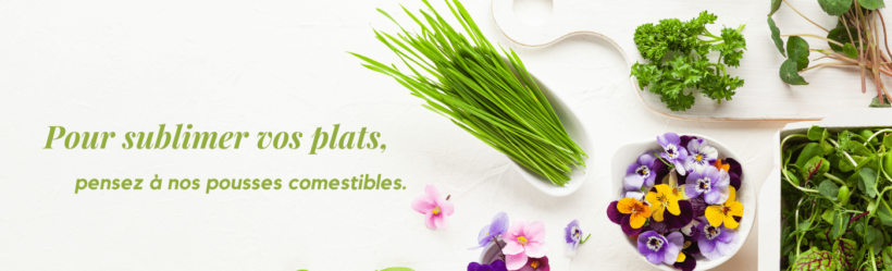 Boutique - JG Fruits et Légumes